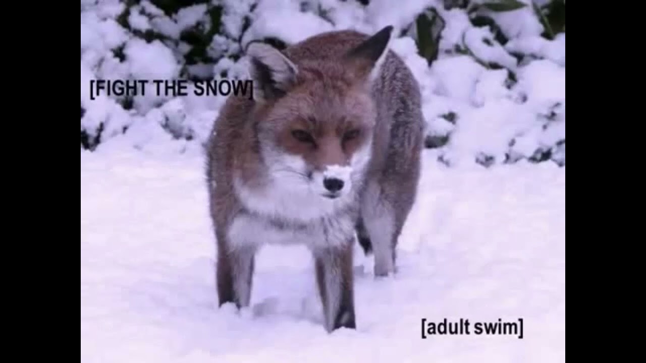 Adult Swim Bump Fight The Snow (v.5) (FULL SONG) [Re-Upload] - YouTube