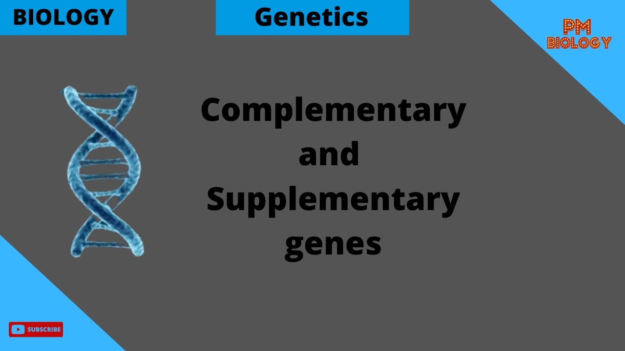 complementary genes and supplementary genes | Genetics | PM Biology ...