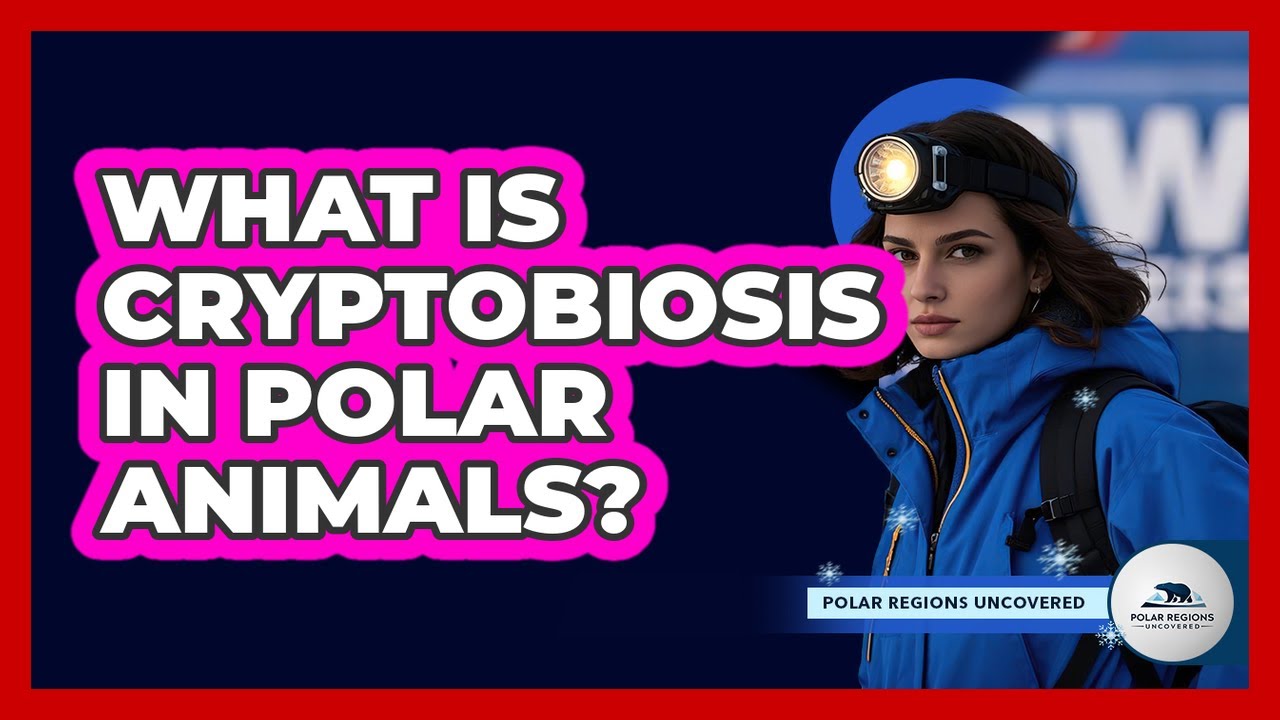 What Is Cryptobiosis In Polar Animals? - Polar Regions Uncovered - YouTube