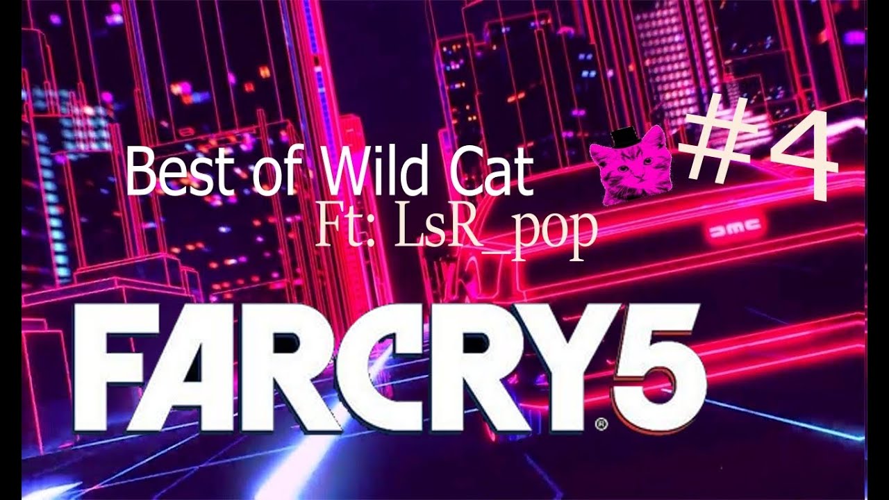 best of WildCat #4 - YouTube