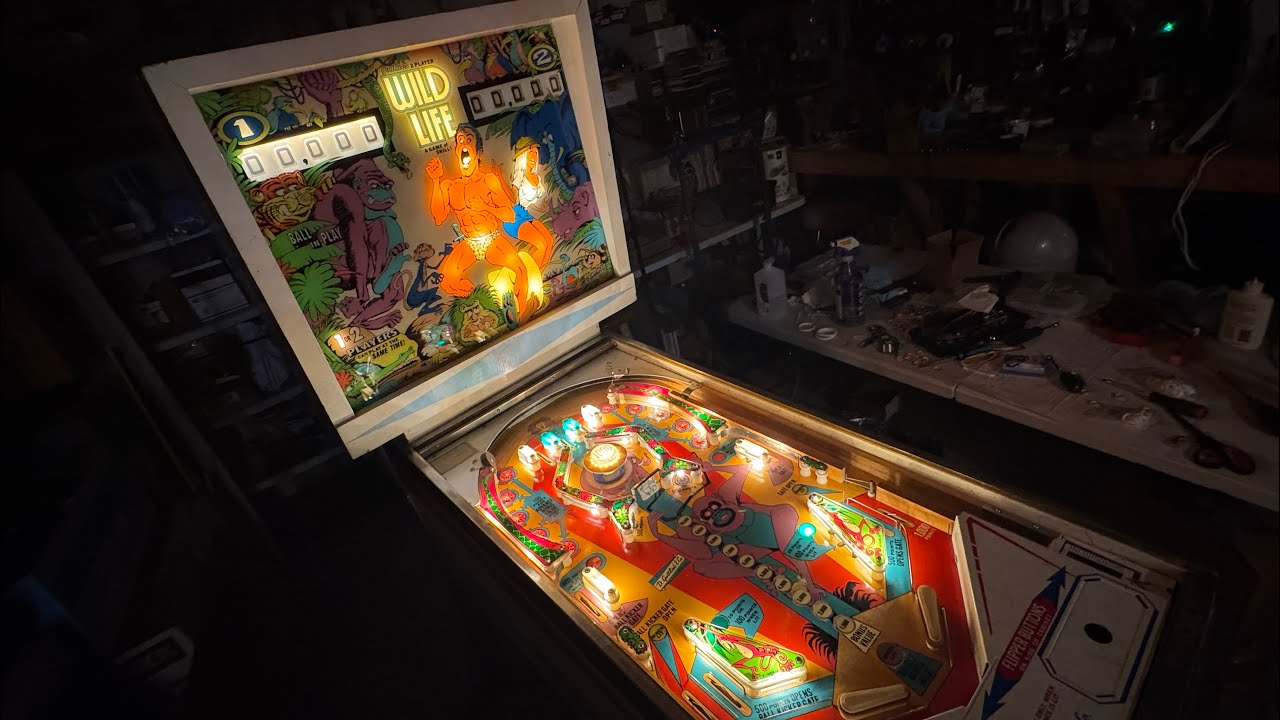 Wild Life Pinball repair part 2: flattening playfield plastics, new ...