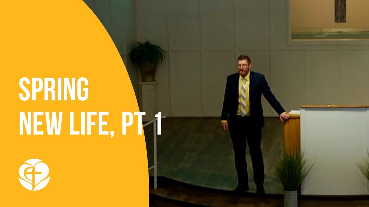 Spring - New Life, Pt 1 - YouTube