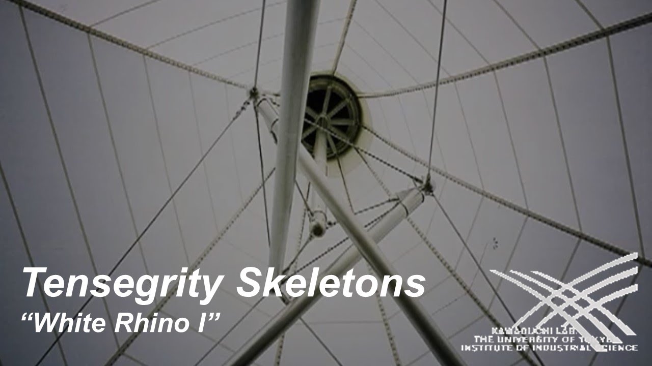 Construction of The World First Typical Tensegrity Skeletons for ...