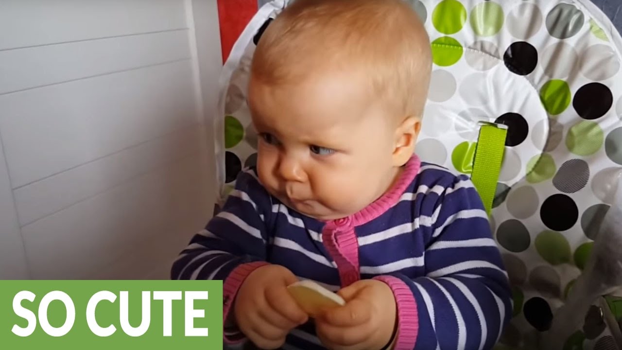 Baby's very first lemon-tasting reaction - YouTube
