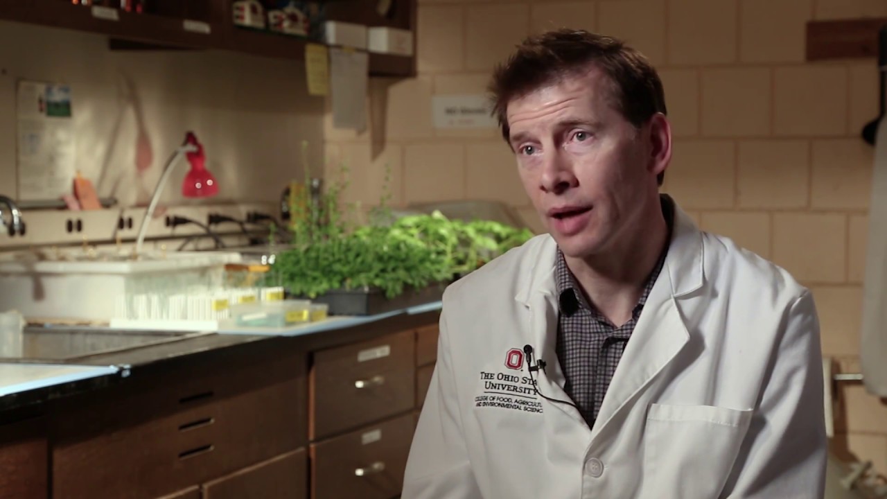 David Mackey: 2018 CFAES Distinguished Senior Faculty Research Award ...