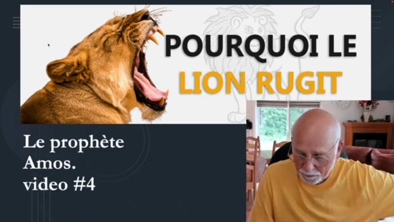 Le lion rugit Vidéo #4 - YouTube
