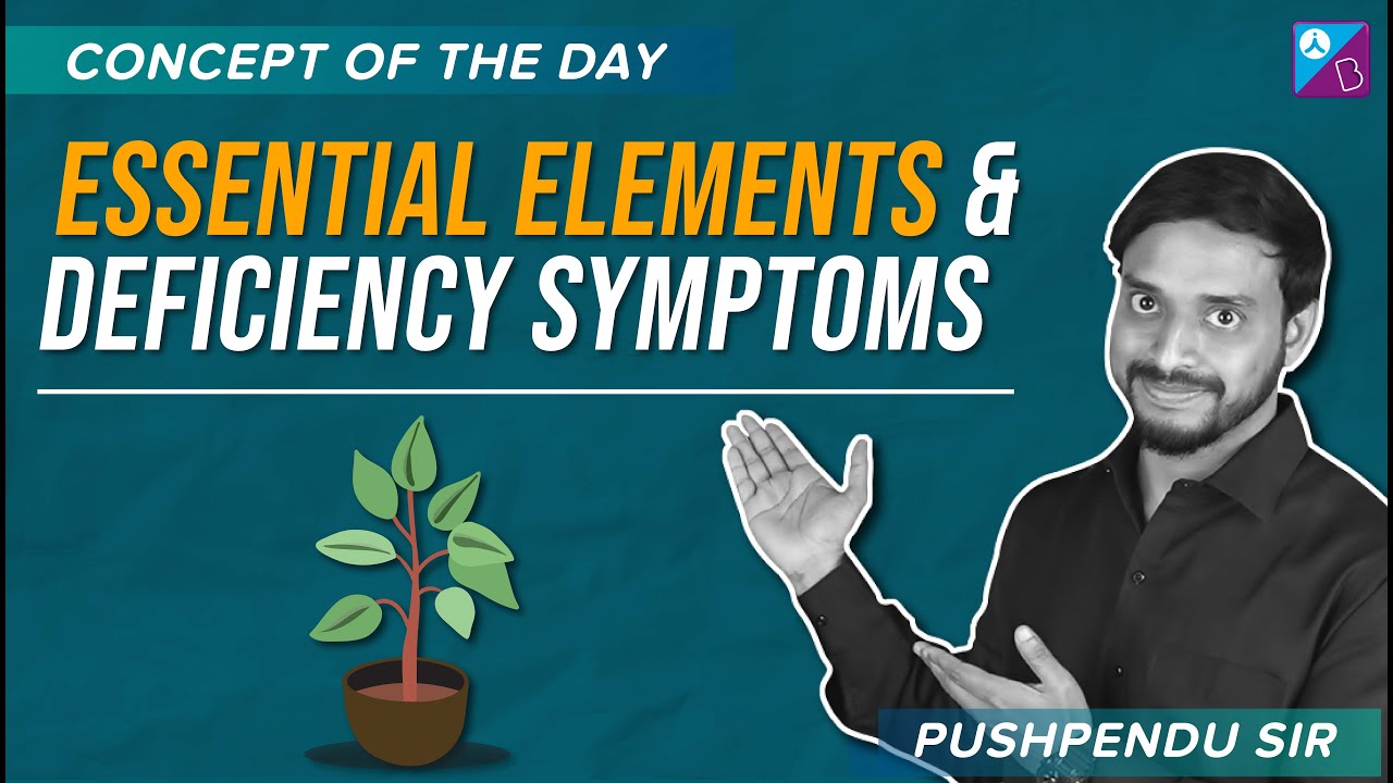 NEET 2023 - Essential Elements and Deficiency Symptoms Concept ...