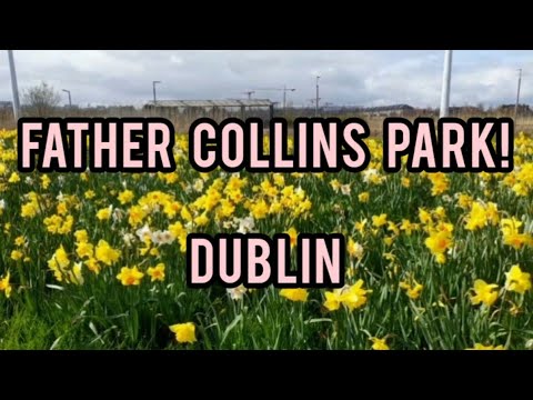 Father Collins Park | Dublin | Ireland | അയർലണ്ട് | @dsfoodtravel3302 ...