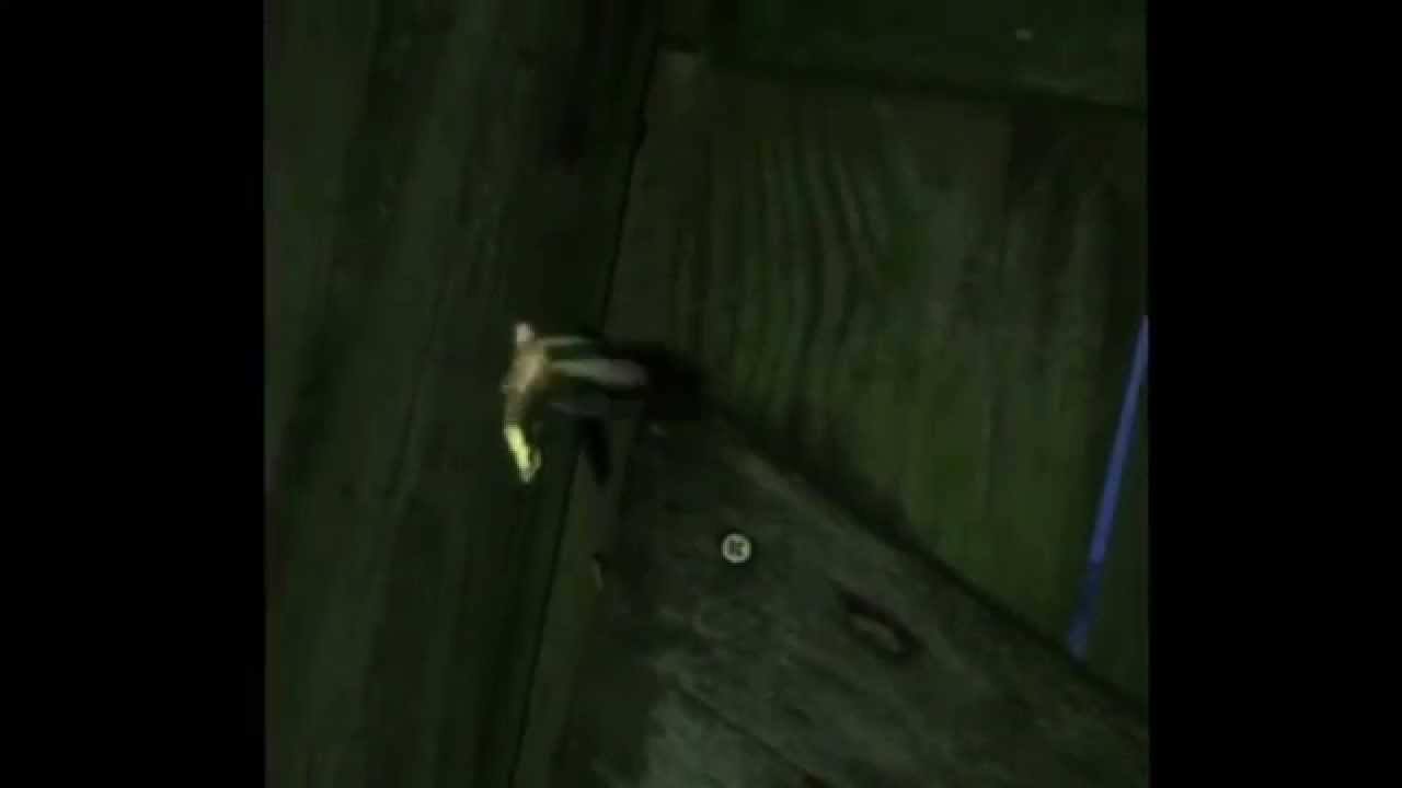 Slow Motion Fireflies w JJ Grey Mofro Arkansas flying insects ...