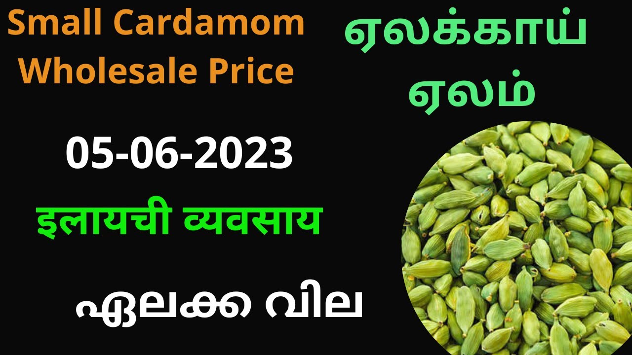 Cardamum Price At Bodi Auction Mandi | Yelakai Vilai | इलायची व्यवसाय ...
