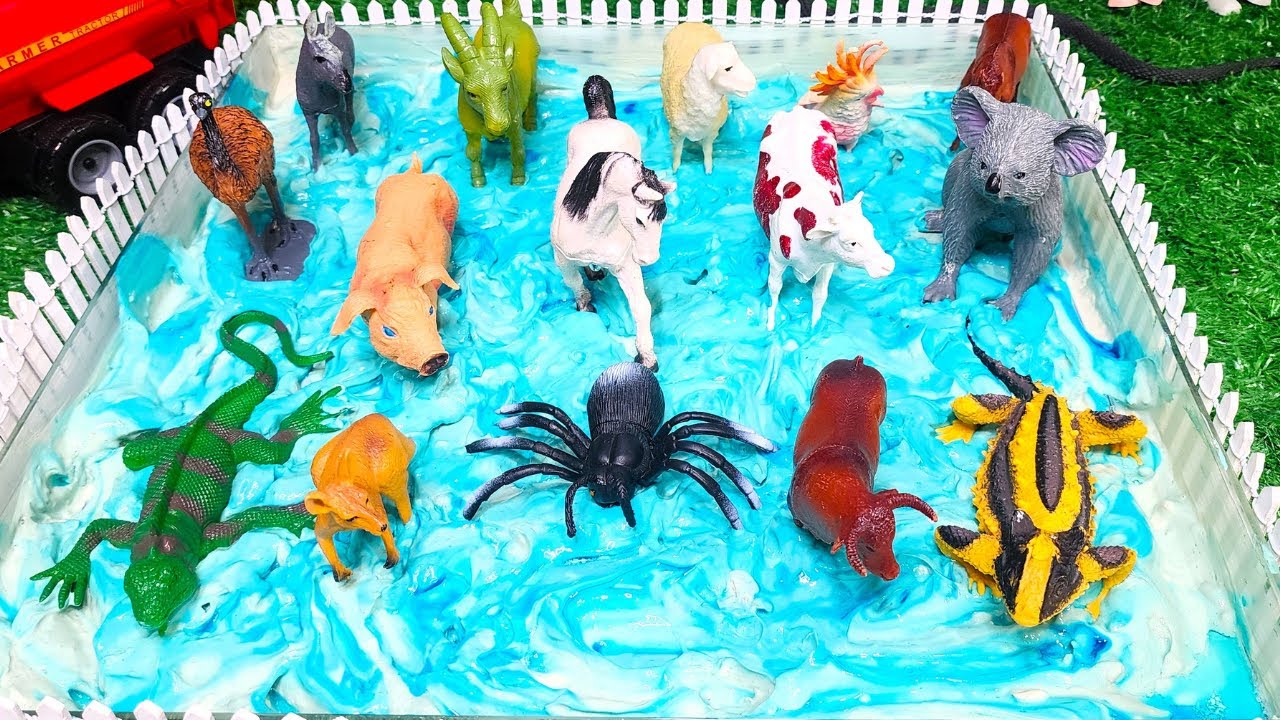 FARM ANIMALS Stuck In Blue MUD | 🐮🐨🐷 | FUN Learning for KIDS | SENSORY ...