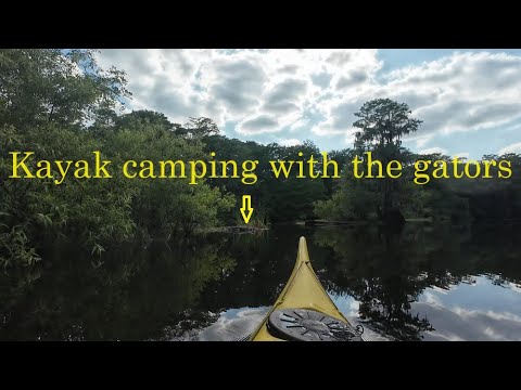 overnight kayak trip: Silver lake to Hog island on the Withlacoochee ...