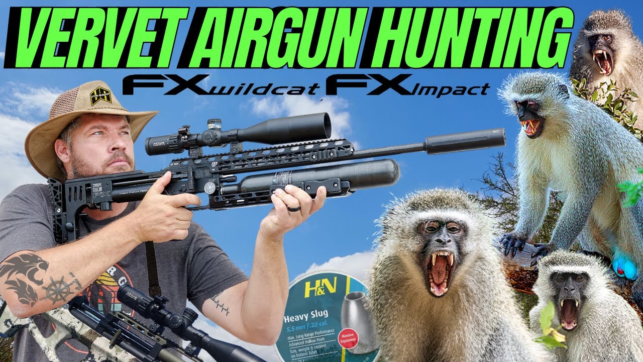 VERVET MONKEY AIR GUN HUNTING I FX IMPACT M3 AIR GUN HUNTING I GREY ...