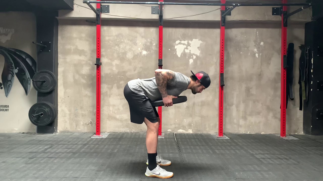 Plate Good Mornings - YouTube