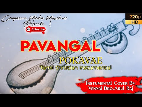 🔴PAVANGAL POKAVAE INSTUMENTAL COVER | VENNAI BRO.ARUL RAJ | COMPASSION ...
