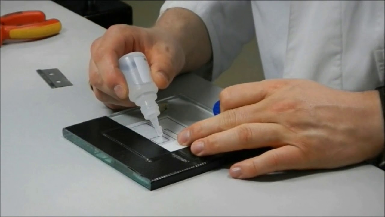 Laser Microtomy for Fast and Easy Preparation of Histological Sections ...