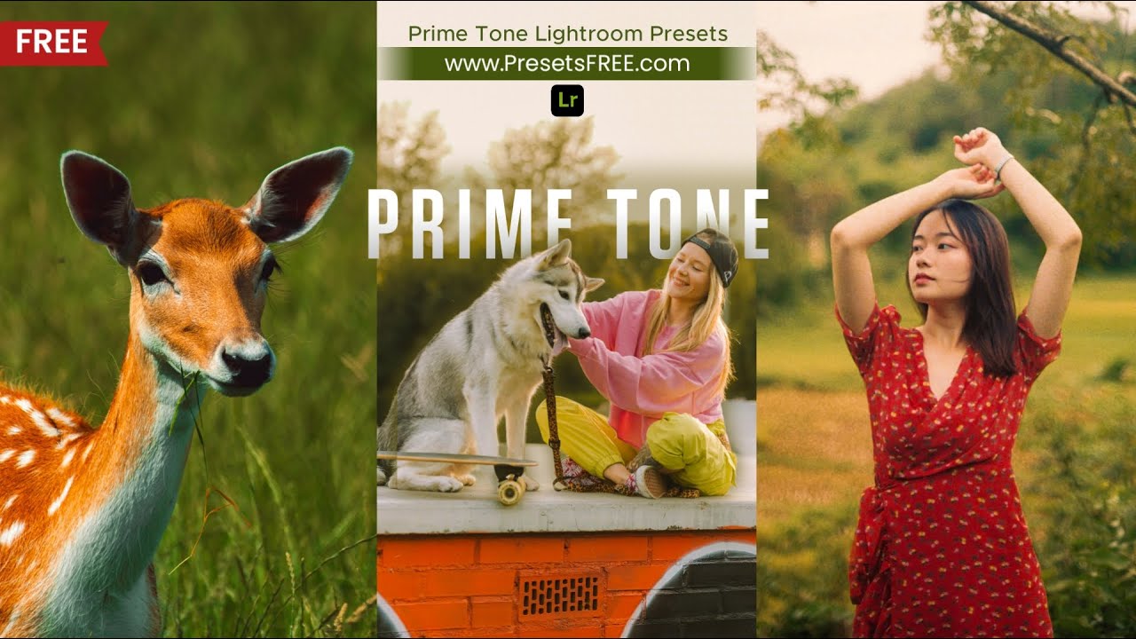 FREE Prime Tone Lightroom Presets to Elevate Your Photo Editing Game ...