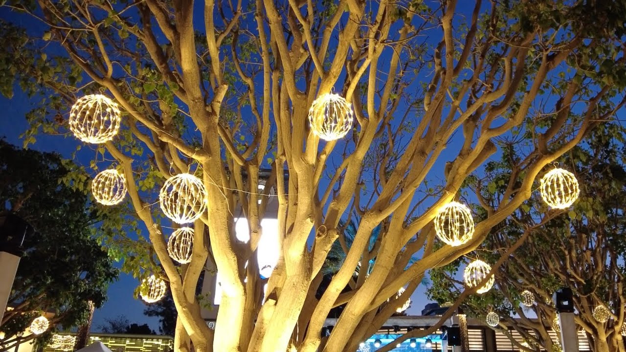 Christmas lights show at UTC mall San Diego, CA / Christmas time - YouTube