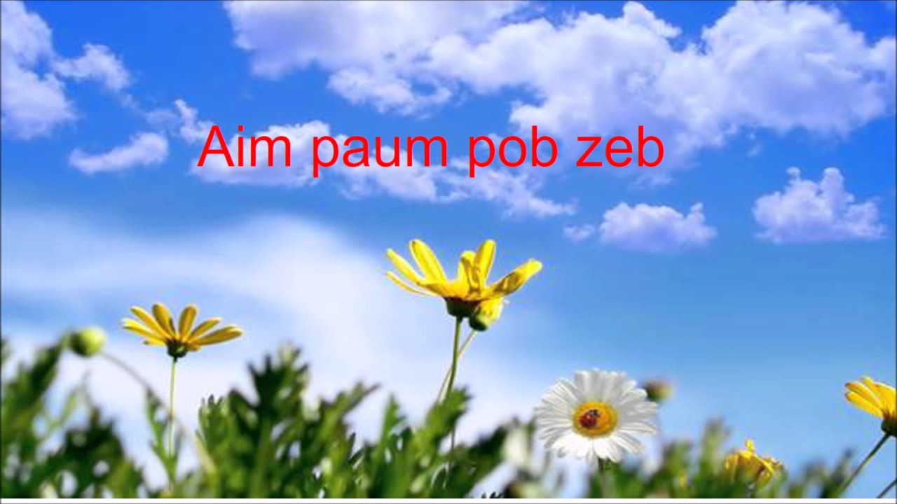 Aim paum pob zeb - YouTube