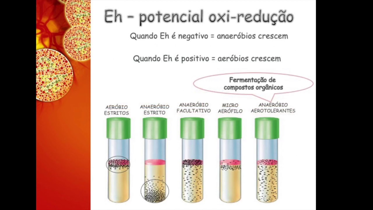 FATORES INTRINSECOS E EXTRINSECOS - YouTube