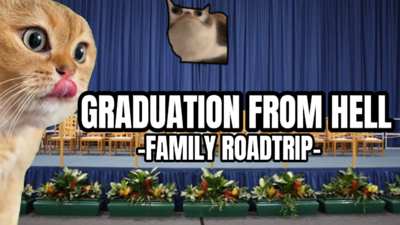 CAT MEMES: FAMILY ROADTRIP GRADUATION PT.3 - YouTube