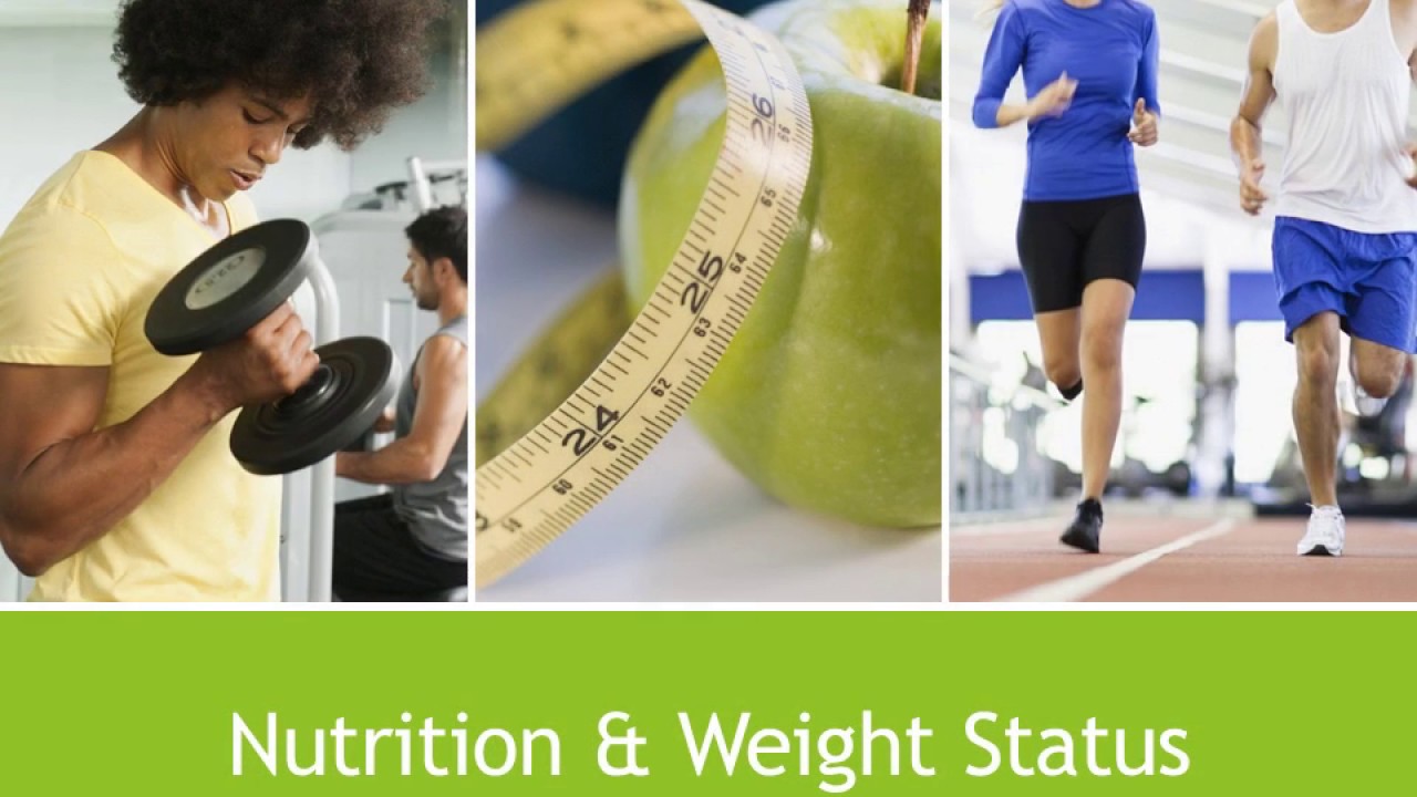 Healthy PPL 2020 Nutrition Nur212 - YouTube