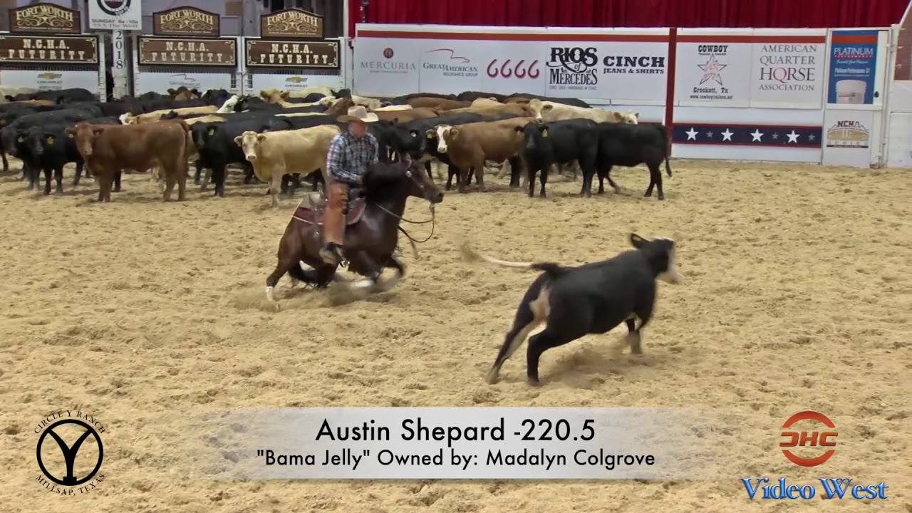 2018 NCHA FUTURITY OPEN 1ST GO DAY 5 Leader Austin Shepard Bama Jelly ...