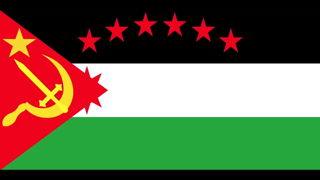 Palestinian communist flag #communism #soviets #freepalestine # ...