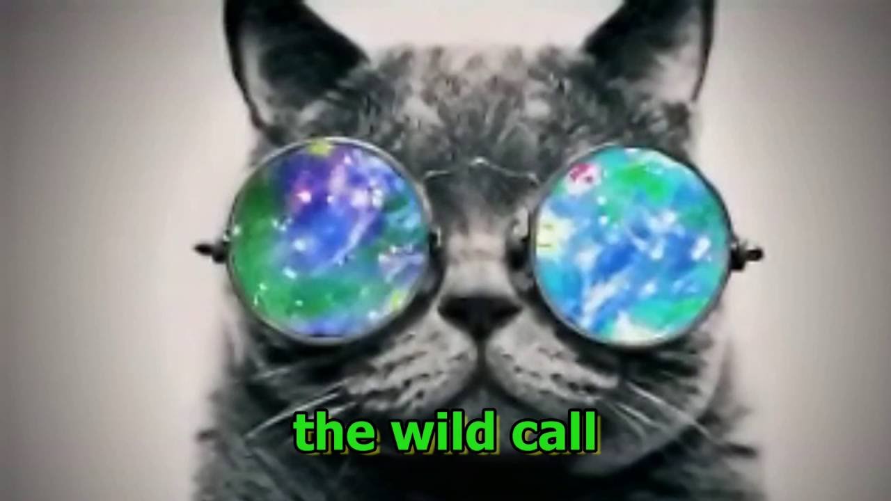 Galactic Acid by Figure 3-2. - YouTube
