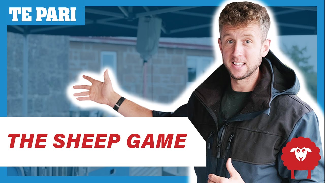 Racewell HD4 | The Sheep Game - YouTube