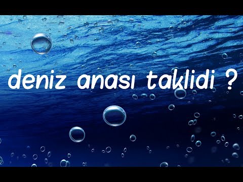 Sana denizanası taklidi yapayım mı? - Komiklik içerir!