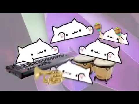 BONGO CAT 🔥 BEST COMPILATION!!! - YouTube