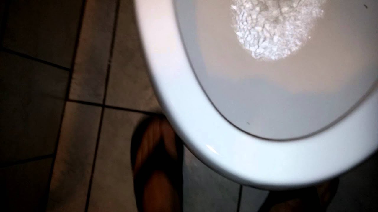 [564] 2011 Penguin Dual-Flush Toilet - YouTube