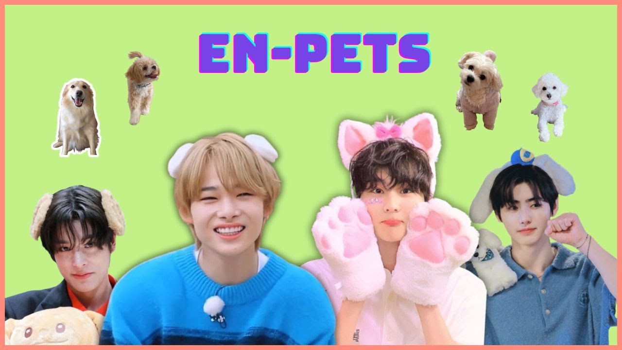 Enhypens pets - layla, maeumi, gaeul, bisco - YouTube