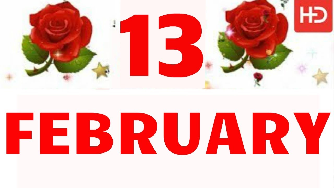13 FEBRUARY Special New Birthday Status Video , happy birthday wishes ...