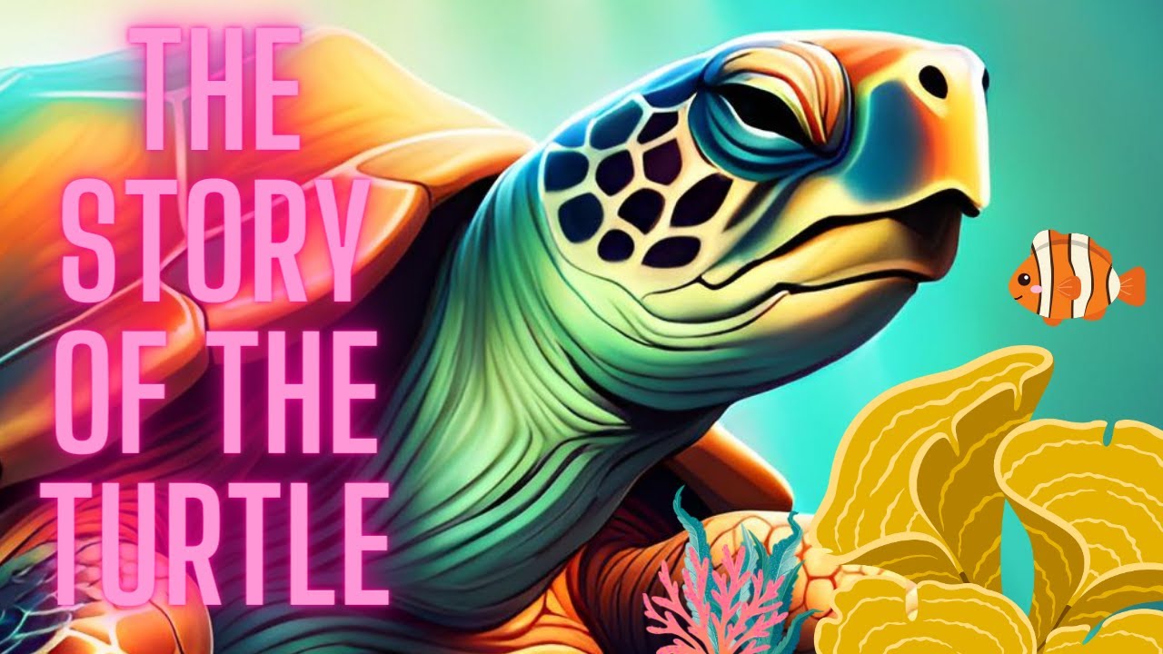 The Story of The Turtle-Children's stories - YouTube