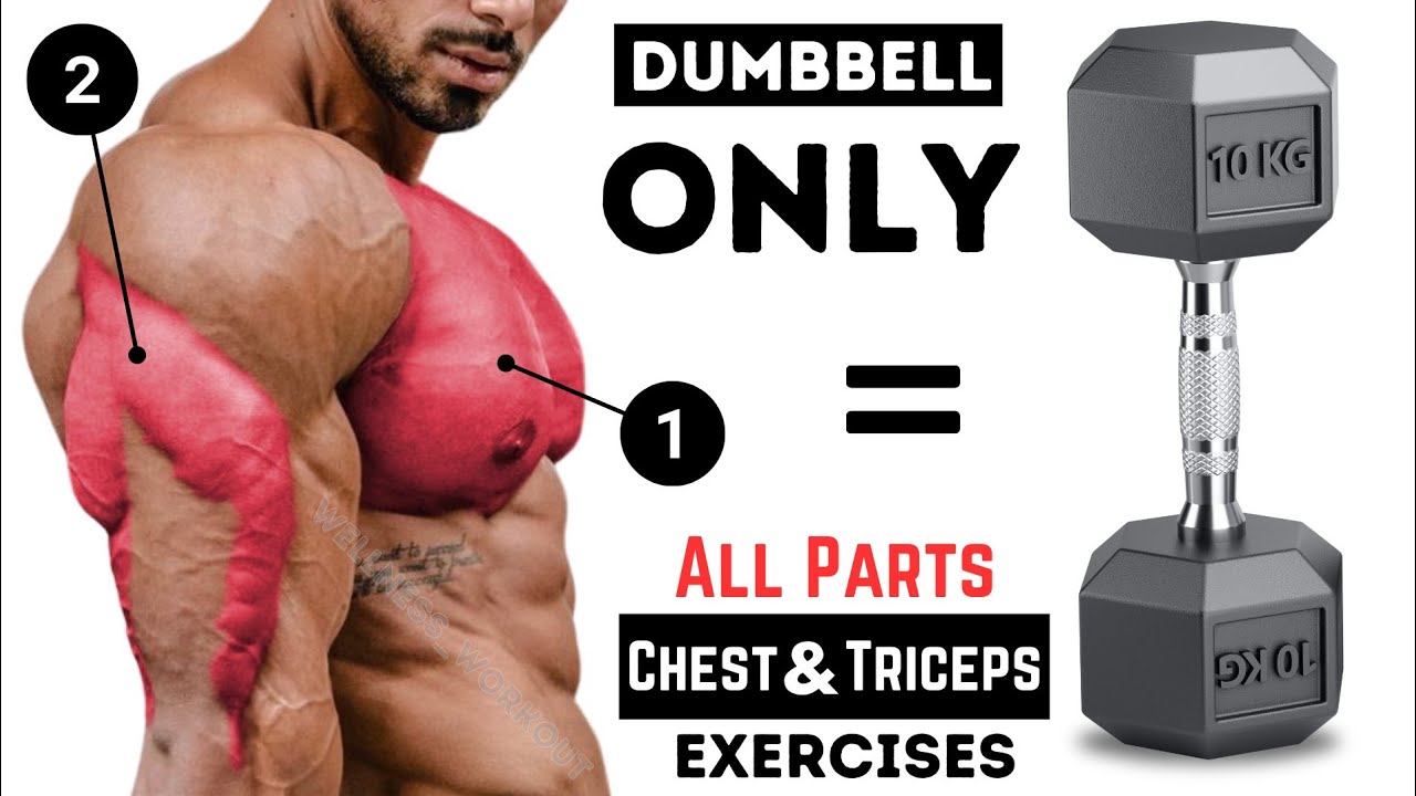 Chest and Triceps Dumbbell Workout for Explosive Gains - YouTube