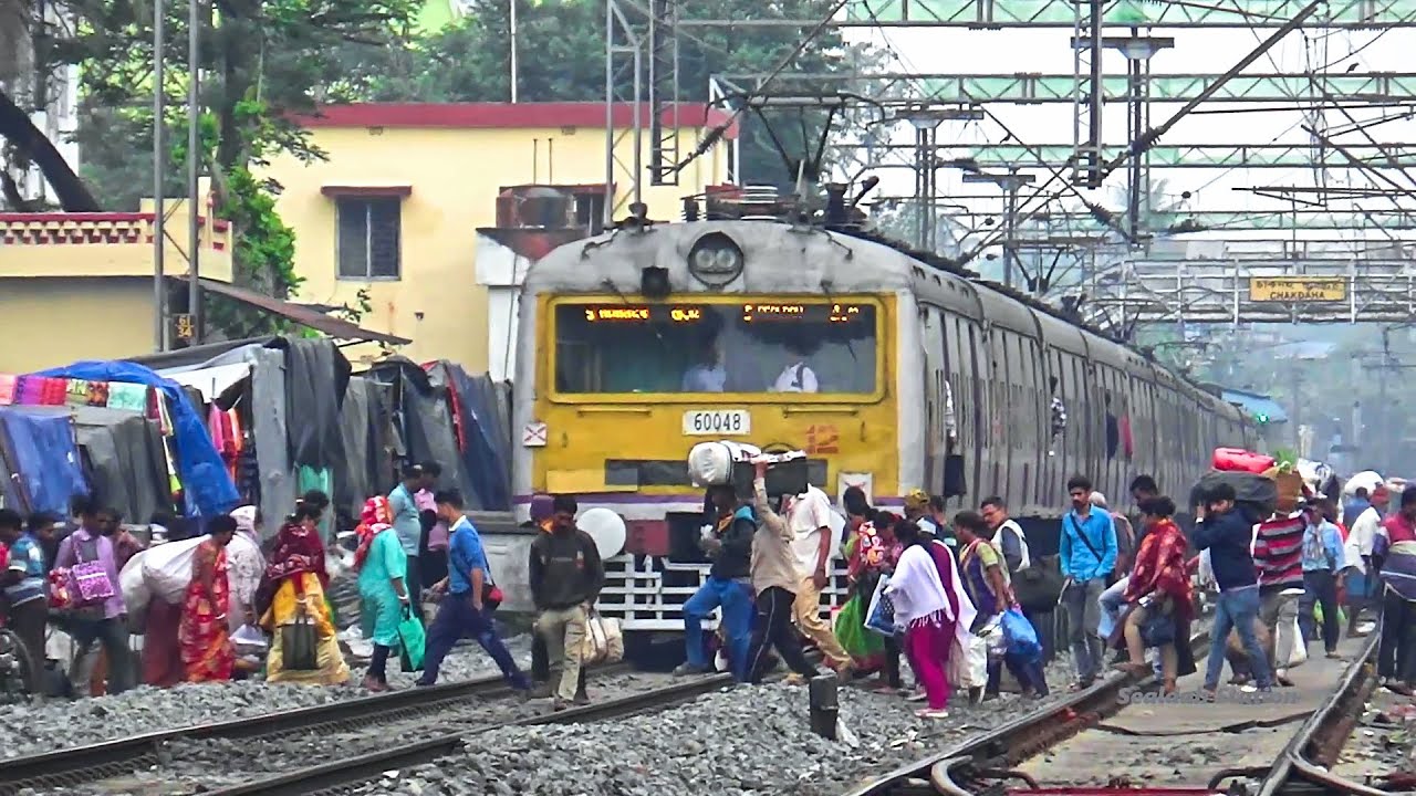 31518/Shantipur-Sealdah Galloping Local Train || Shantipur-Sealdah ...