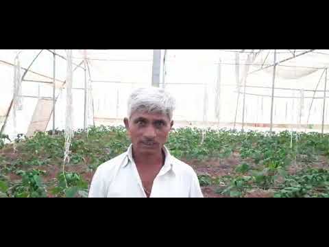 INFLUX AGROTECH PRODUCT RESULTS VILLAGE SATWAD TALUKA PATHARDI DISTRICT ...
