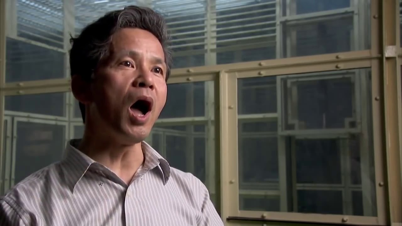 monkey impression - YouTube