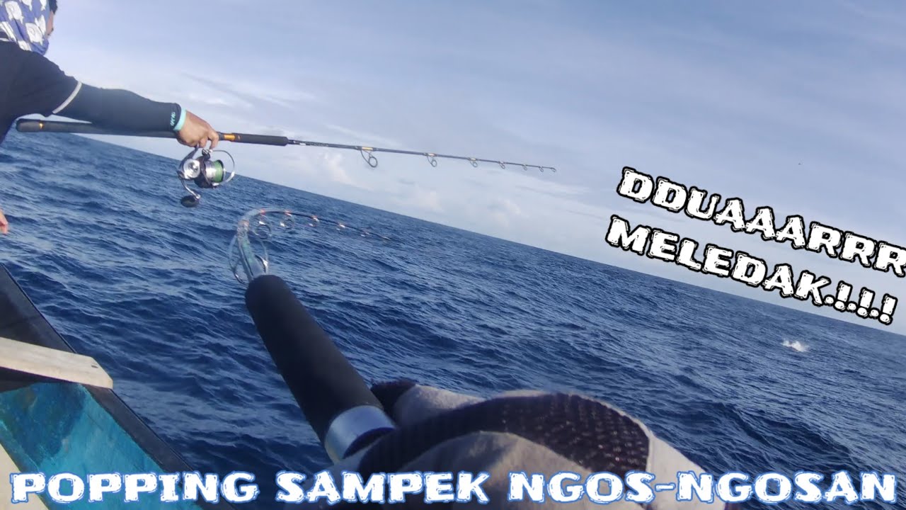 GILAAAAKKKKK. MELEDAK-MELEDAK POPPING DI SPOT MAUT PULO RONDO ...