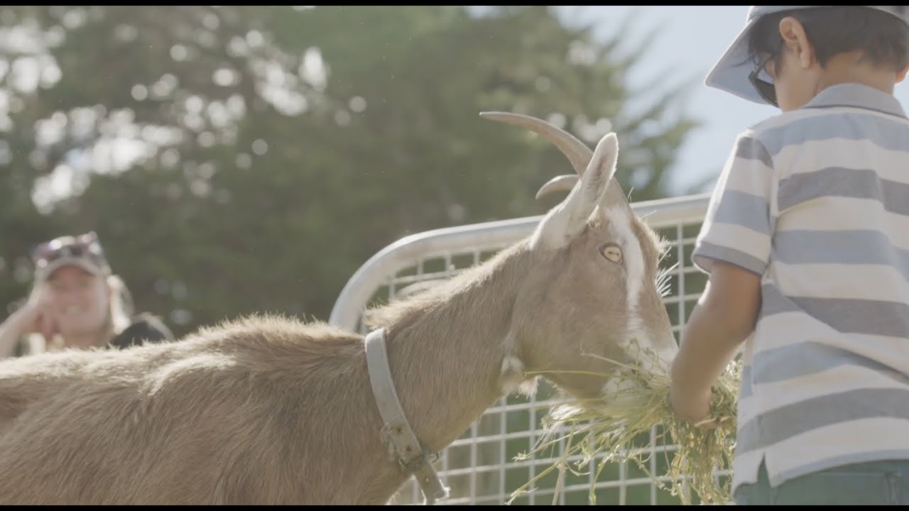 Open Farms 2021 - YouTube