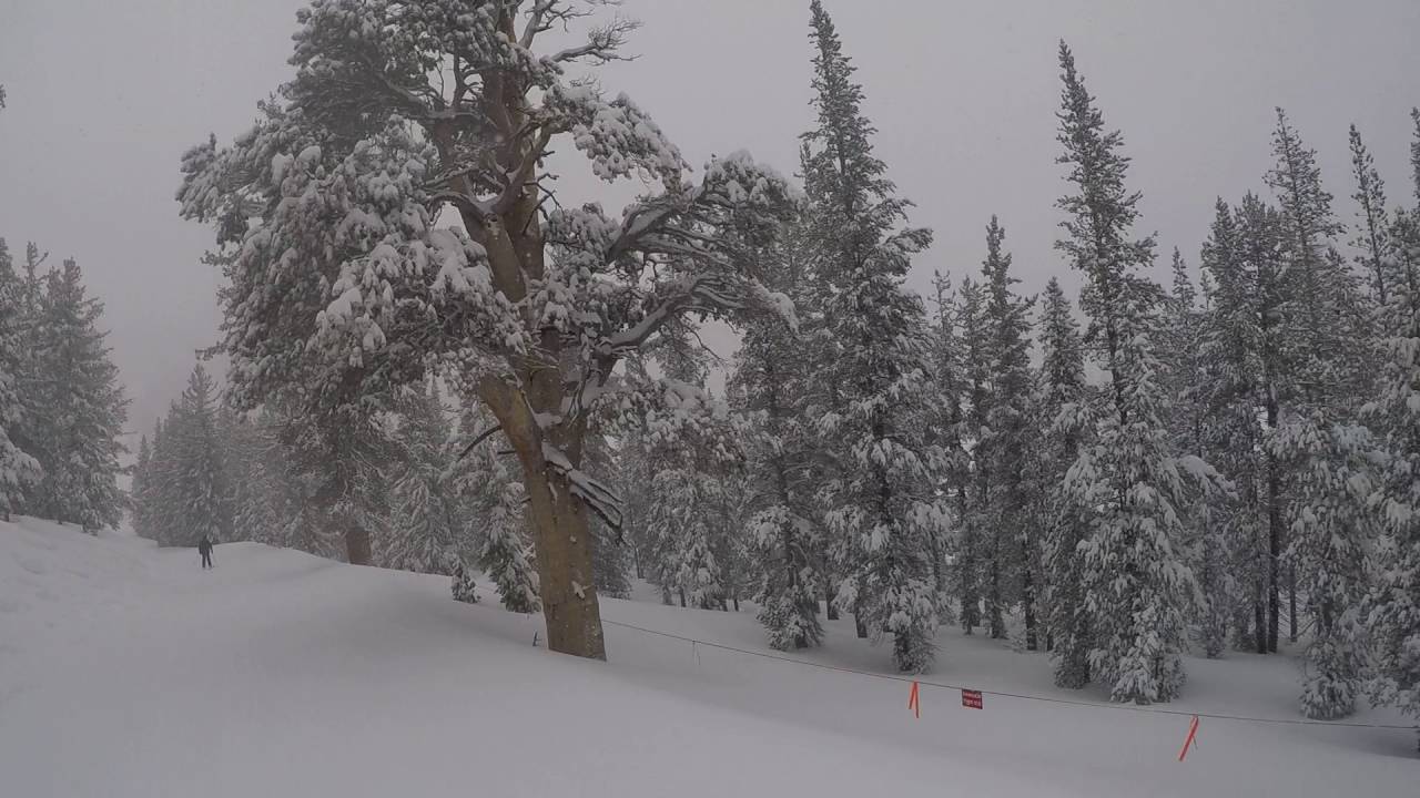 Epic powder tree skiing run at Heavenly 2015 - YouTube