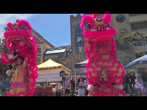 PINK LION DANCE LETTUCE PERFORMANCE 4K - YouTube