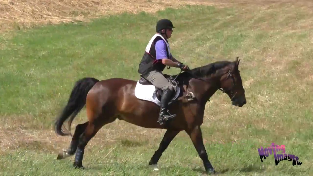 Hank Greenwald; Young Rider Benefit Horse Trial; August 2017 - YouTube