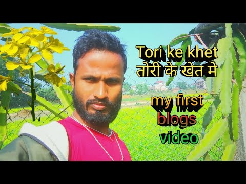 My first blogs video Tori Ke khet Mein तोरी के खेतमे - YouTube