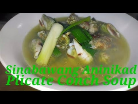 Sinabawang Aninikad/ Plicate Conch Soup/ Recipe - YouTube