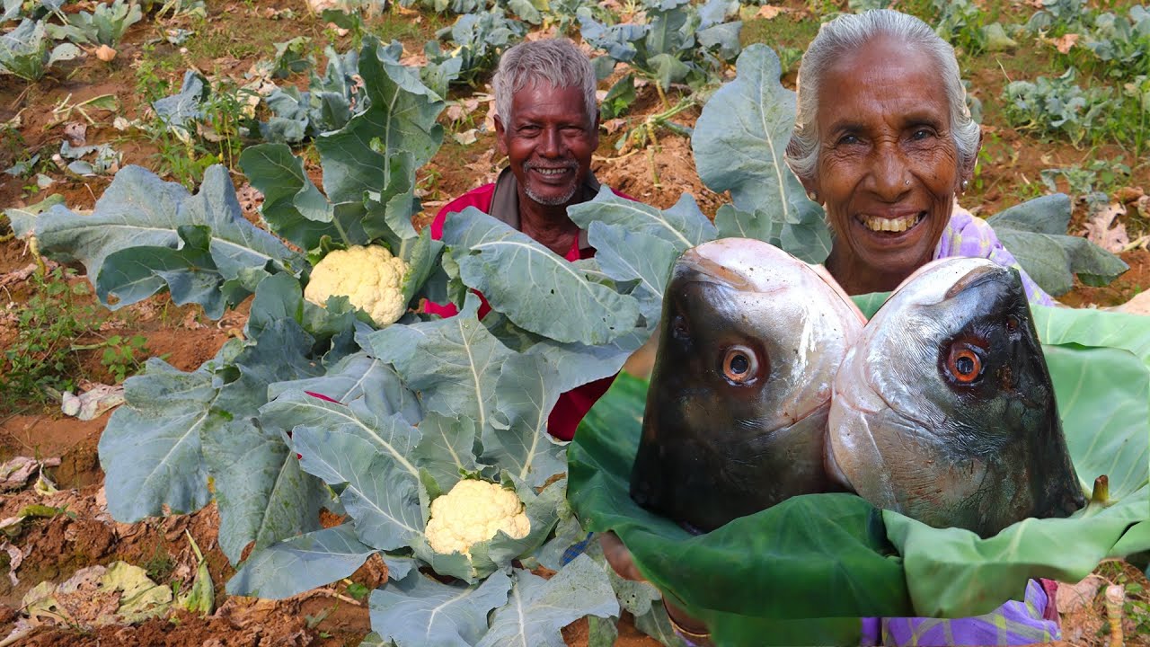 Gobi and fish head curry | farm fresh gobi and fish recipe in tribal ...