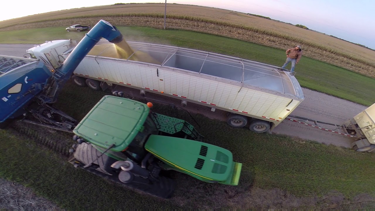 Soybean Harvest loading truck - YouTube