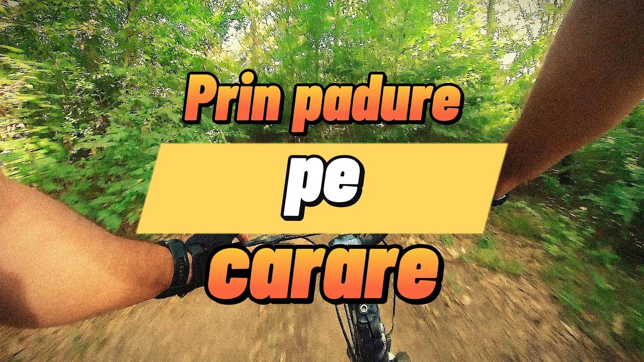 Prin padure pe carare... - YouTube